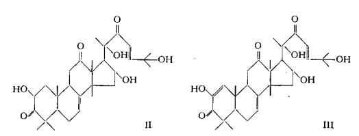 Elaterio (Cocomero asinino): proprietà curative. A cosa serve? Come si ...