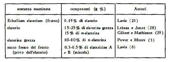 Elaterio (Cocomero asinino): proprietà curative. A cosa serve? Come si ...