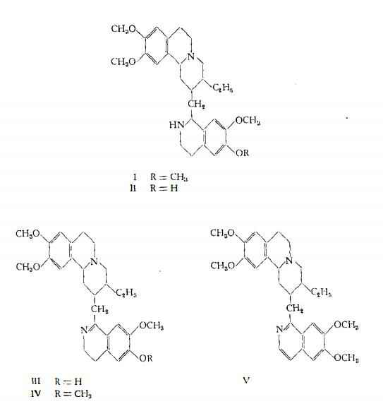 Ipecacuana: proprietà curative. A cosa serve? Come si usa? - Torrinomedica
