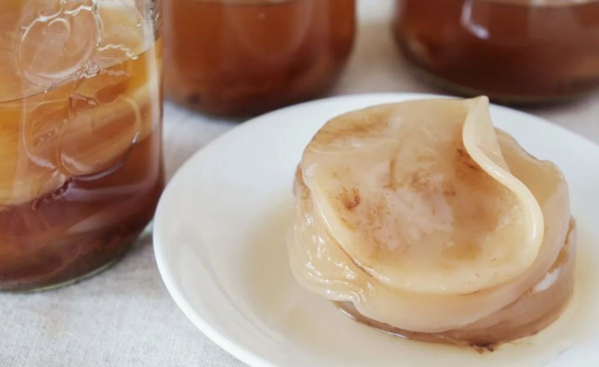 Quando assumere il kombucha? - Torrinomedica