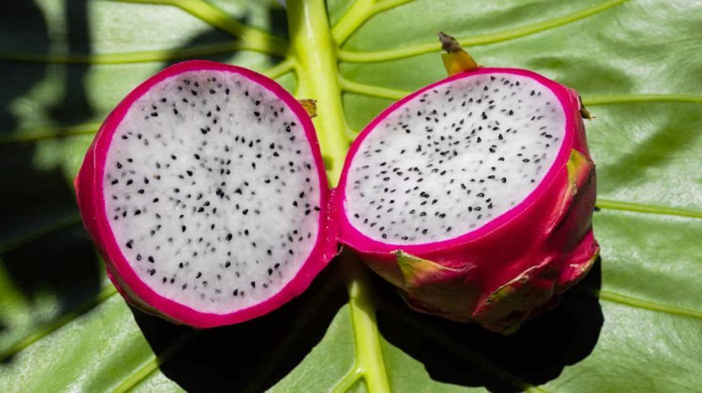 Pitaya (Frutto del Drago): cos'è e perché fa bene? - Torrinomedica Pitaya (Frutto del Drago): cos'è e perché fa bene? - Torrinomedica