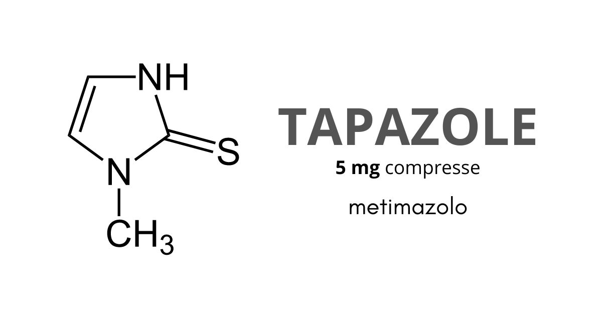 Tapazole: Bugiardino (Foglietto Illustrativo) - Torrinomedica