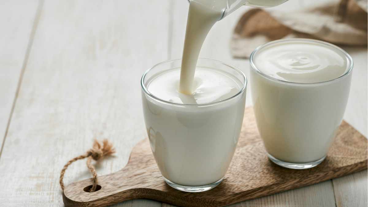 **Optimal Timing for Drinking Kefir: Morning vs. Night** - Torrinomedica