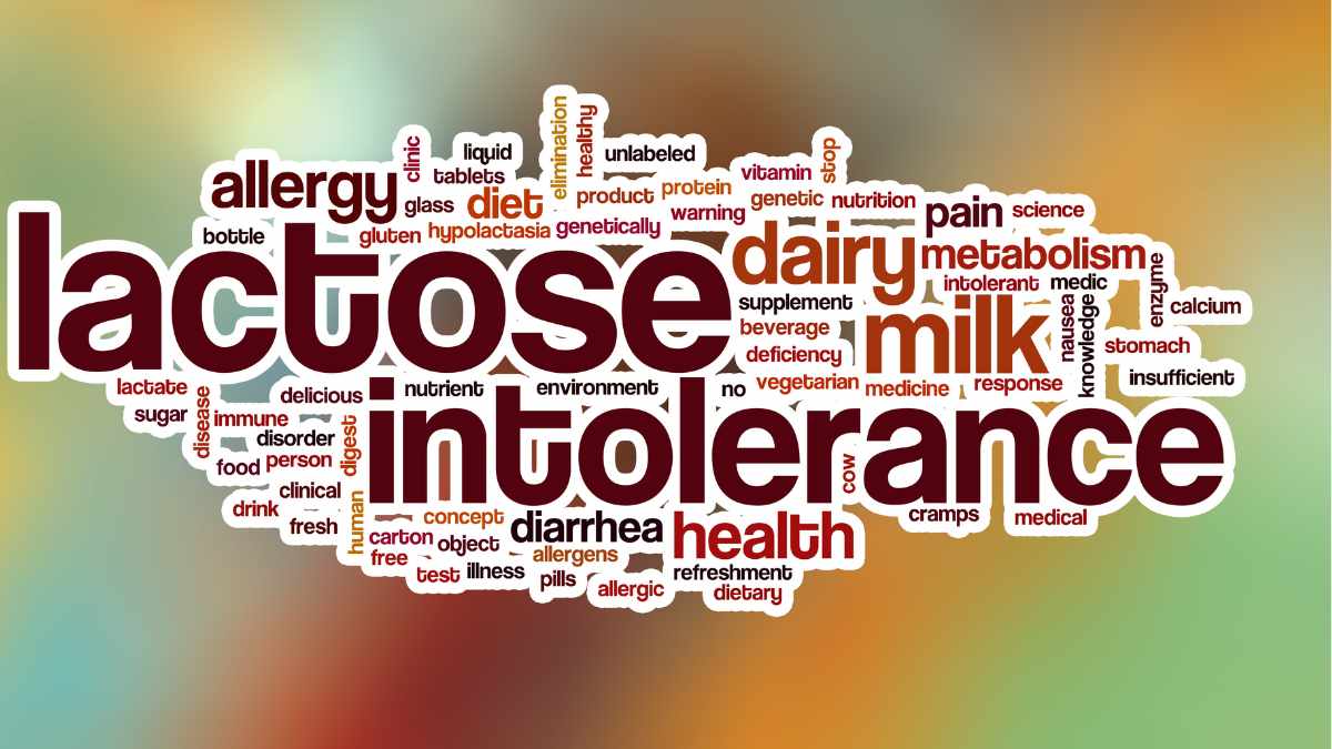 Duration for Dairy to Exit Your System - Torrinomedica