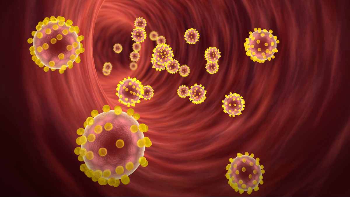 What is a good cholesterol level by age? - Torrinomedica