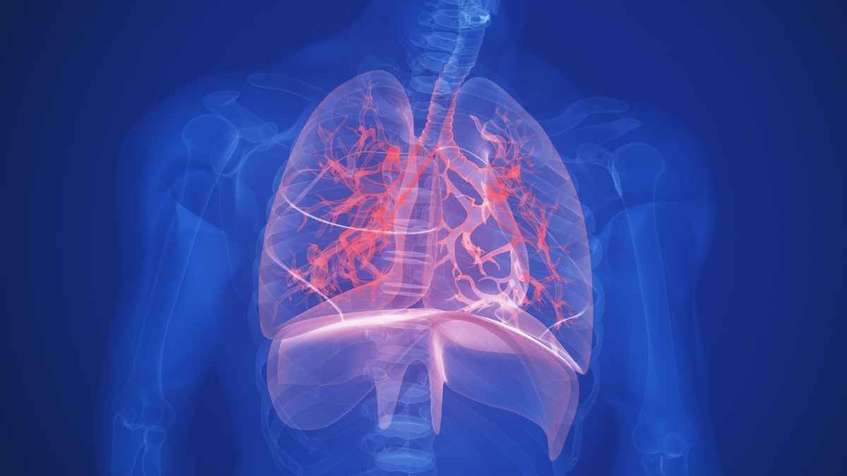 Quando fanno male i polmoni dove si sente dolore? - Torrinomedica